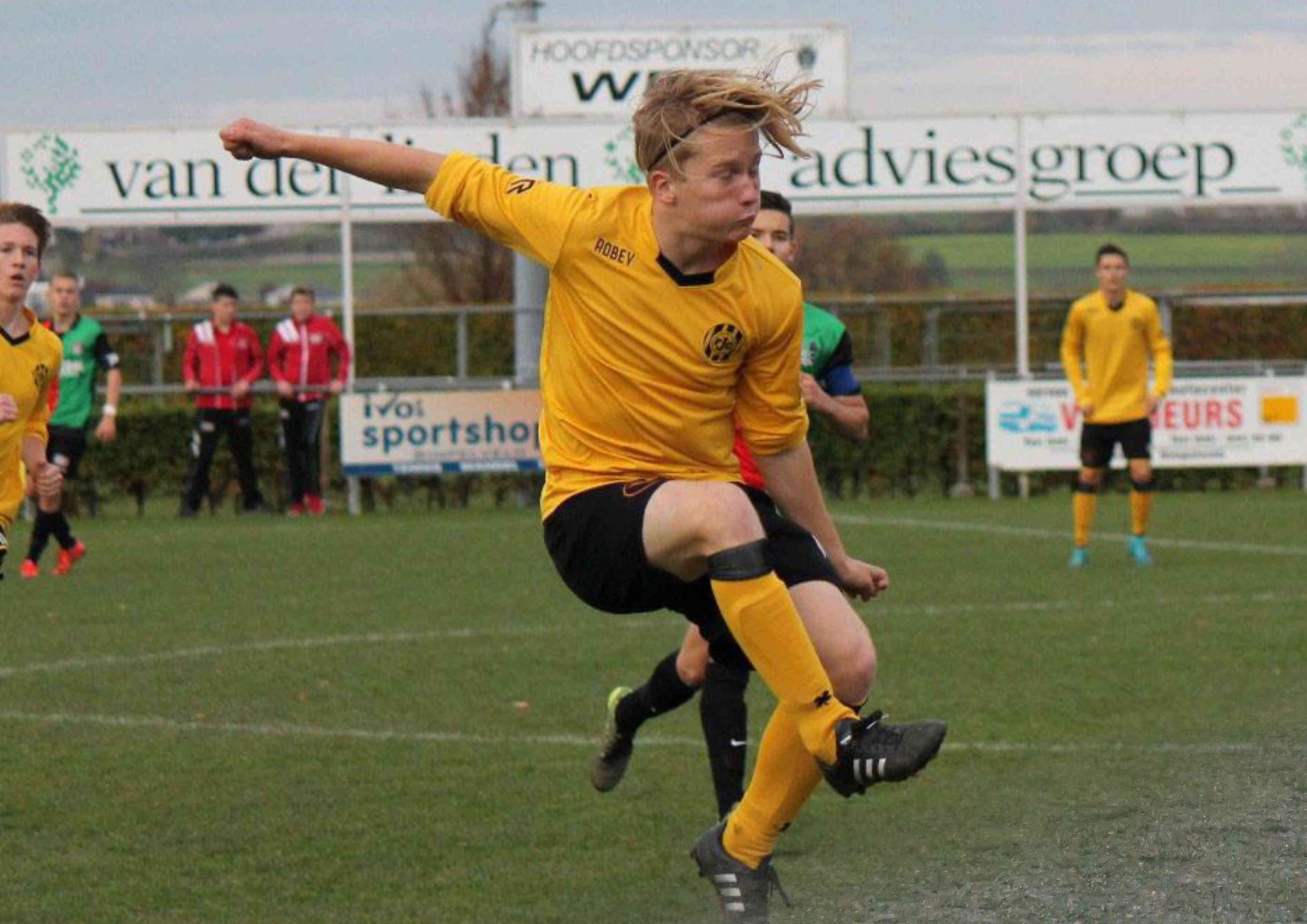 Kay in 't Ven - KingsTalent